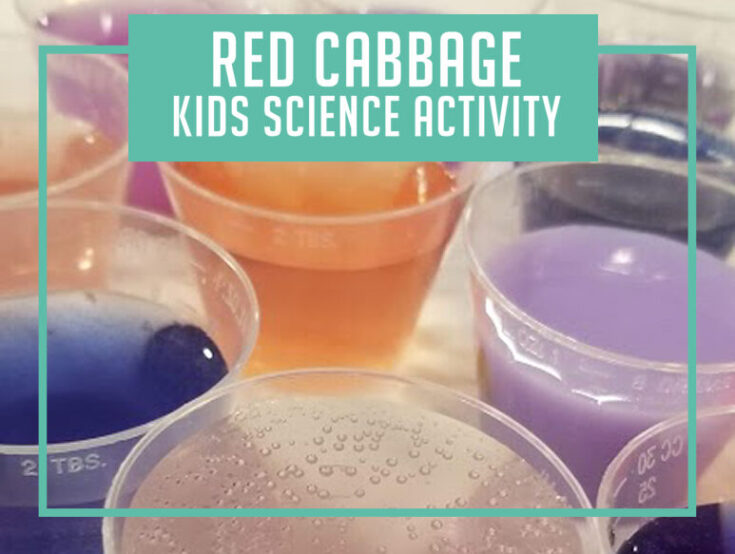 Red Cabbage Kids Science Activity – Staying on the Sunnyside